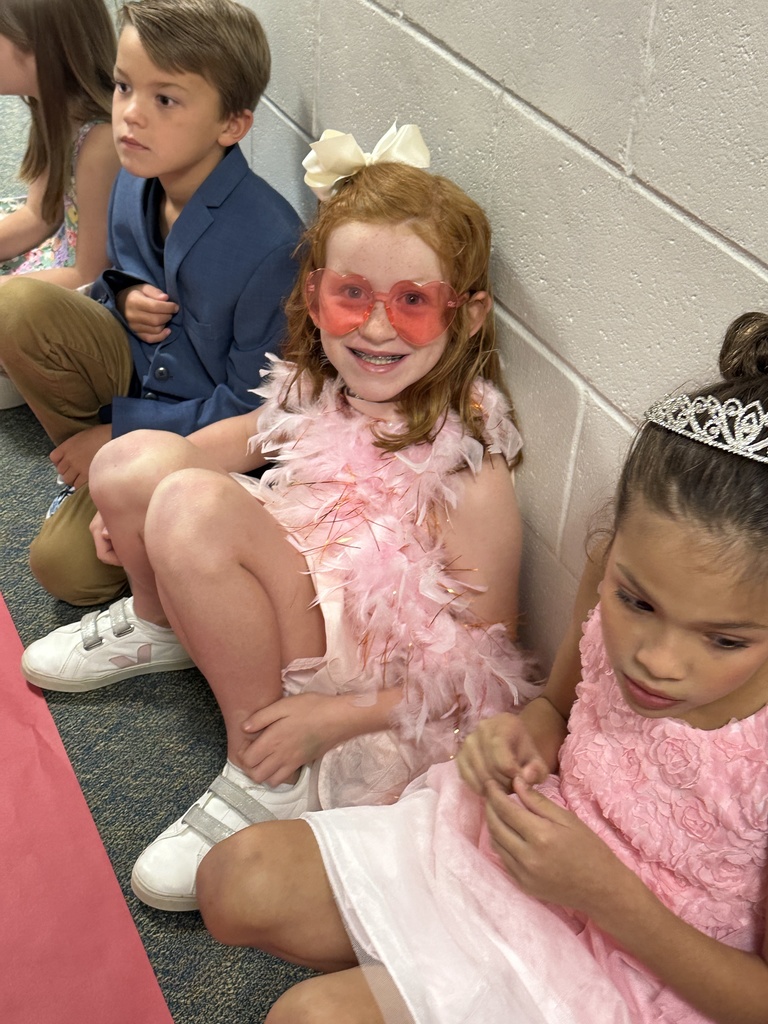 Live Feed | Shadow Forest Elementary School