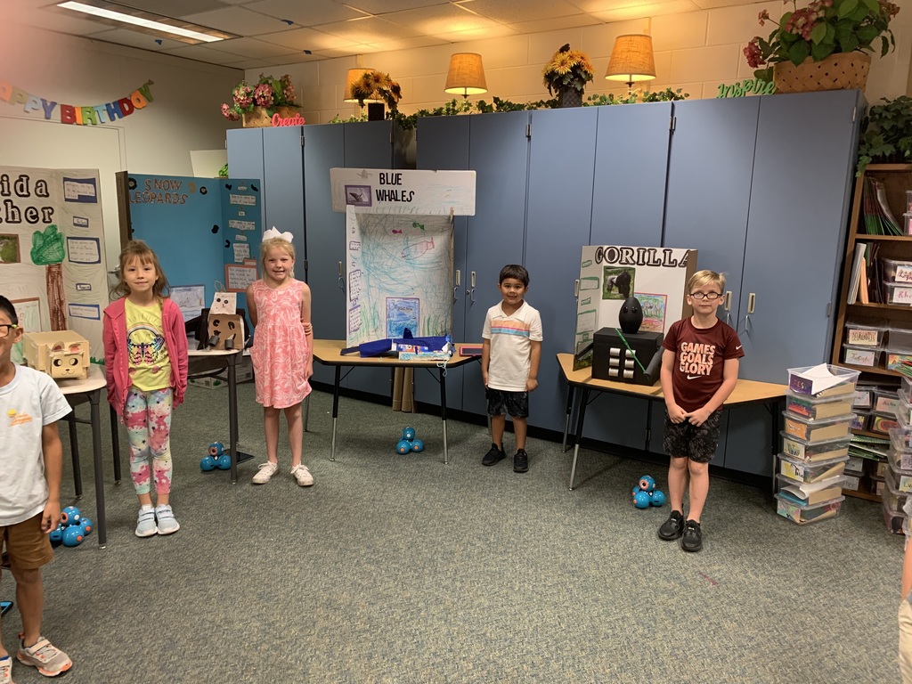 Live Feed | Shadow Forest Elementary School