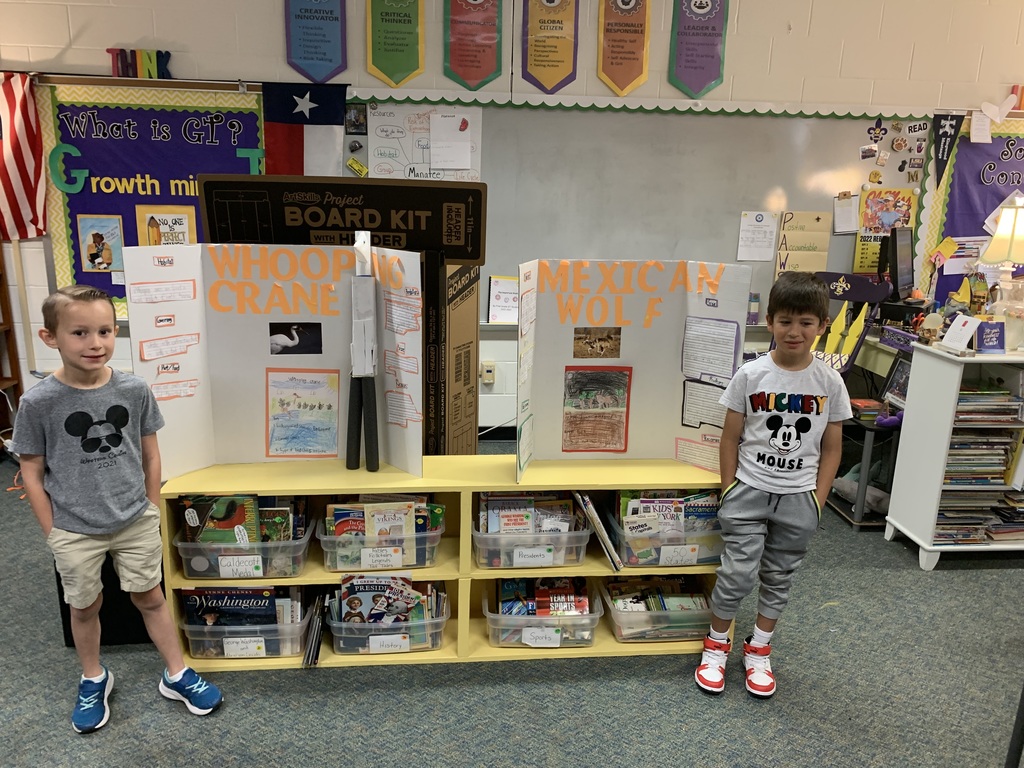 Live Feed | Shadow Forest Elementary School