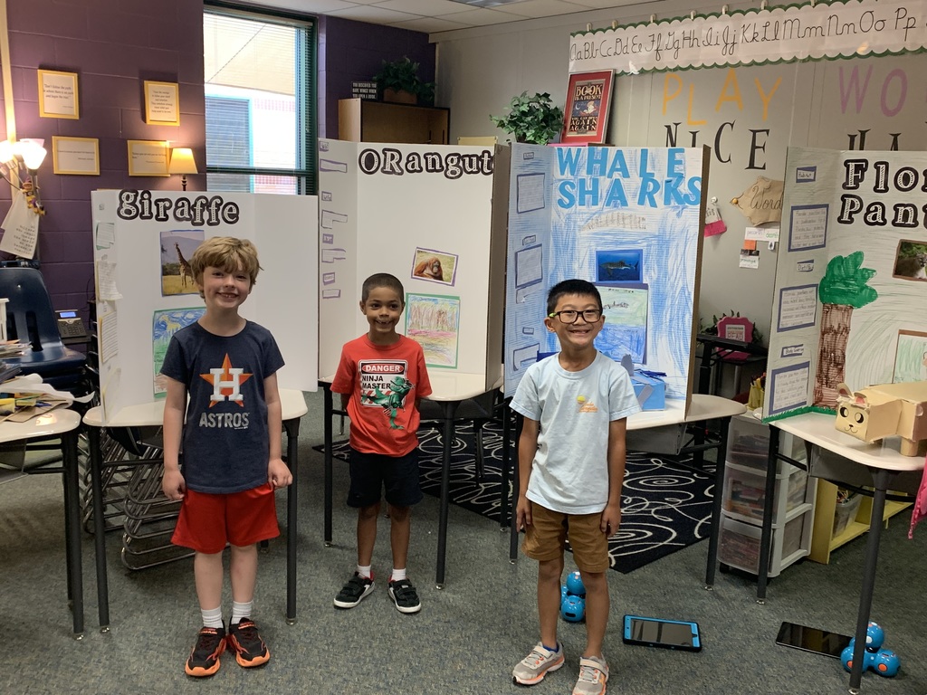 Live Feed | Shadow Forest Elementary School