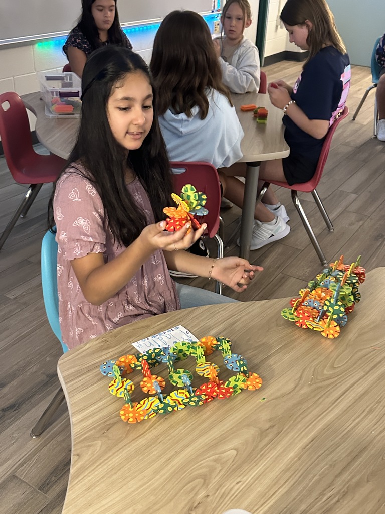 Live Feed | Shadow Forest Elementary School