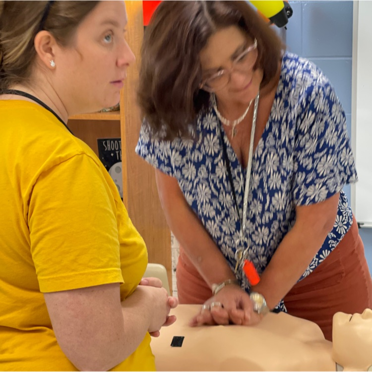 Live Feed | Pine Forest Elementary School