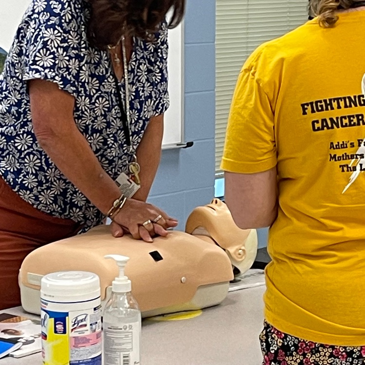 Live Feed | Pine Forest Elementary School