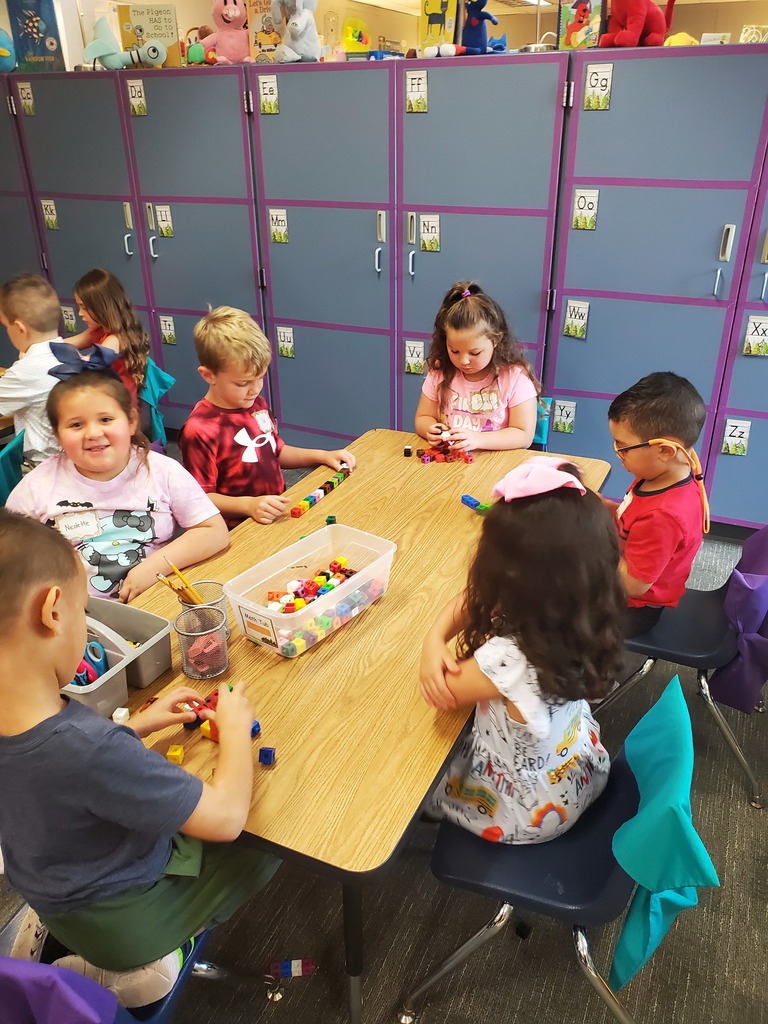 Live Feed | Shadow Forest Elementary School