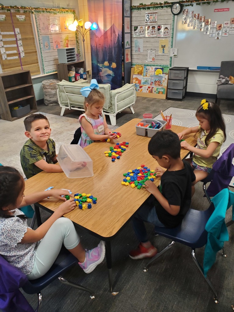 Live Feed | Shadow Forest Elementary School