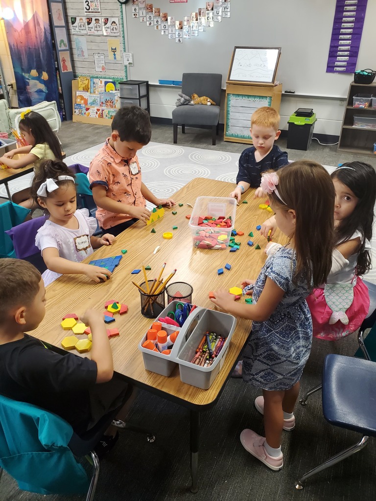 Live Feed | Shadow Forest Elementary School