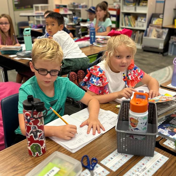 Live Feed | Shadow Forest Elementary School